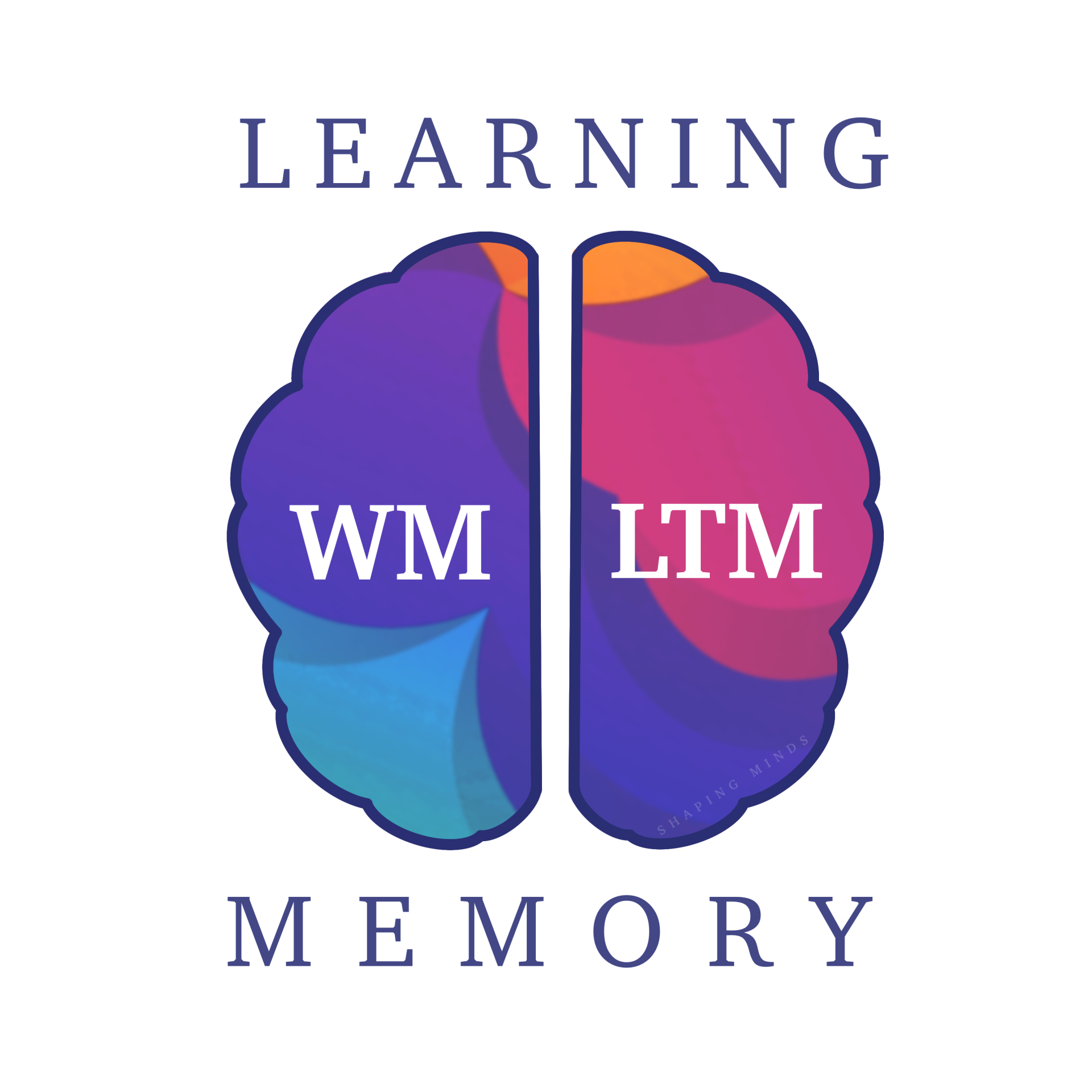 Alumni W1 - Shaping Minds